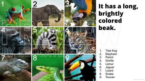 Animal Categories I Spy Game for Receptive and Descriptive Language Skills