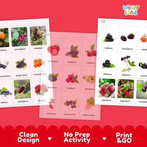 Berry Types Flashcards | Real Photos Fruit Identification Cards for Science