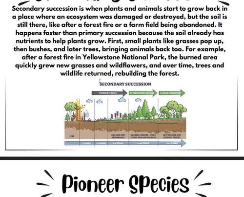 Primary & Secondary Succession Gallery Walk | Ecosystems Reading Activity