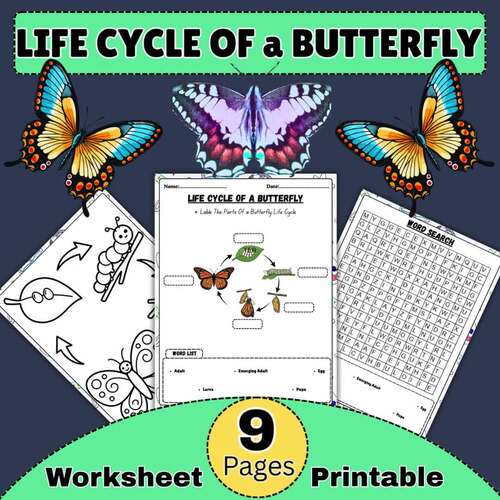 Life Cycle Of a Butterfly Activities | Science Worksheets For ...