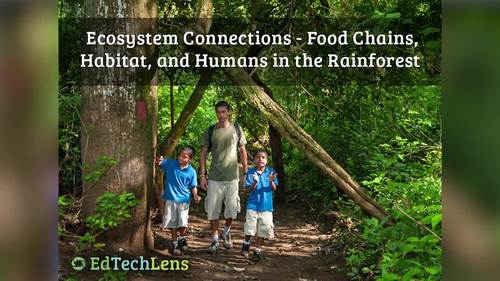 Energy Flow in Rainforest Ecosystems and Why Humans Need Rainforests ...