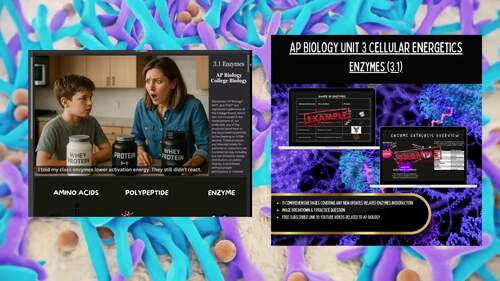 AP Biology UNIT 3 Cellular Energetics 3.1 Enzymes Lesson Guide | TPT