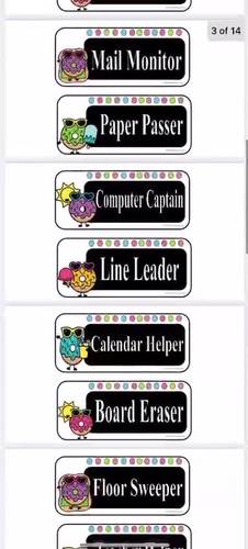 No Prep Classroom Jobs Cards- Back to School- Classroom Decor | TPT