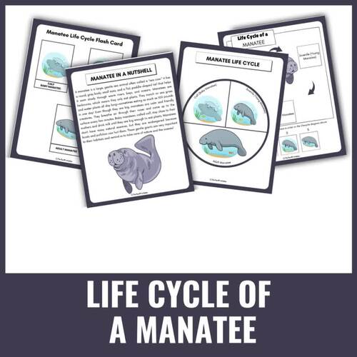 Manatee life cycle, Sea cow ocean animals science unit study with fun ...