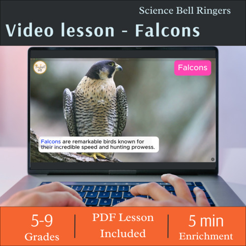 Science bell ringer video (4 min) - Falcons - Middle school | TPT