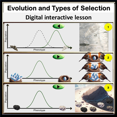 Evolution and Types of Selection: Interactive AP Biology Digital Lesson