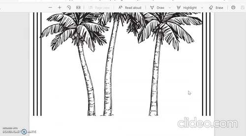 Stage 3 English Writing, Comprehension and Spelling Assessment NSW Outcomes