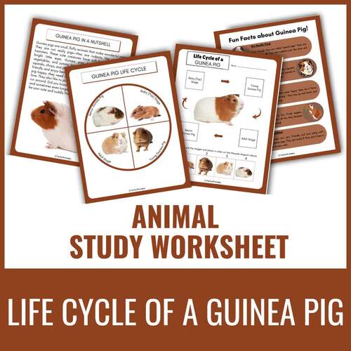 Life Cycle of a Guinea Pig Worksheet | Rodents/Animals Unit Study With ...