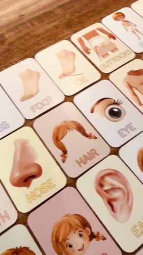 Human Body Flashcards | Montessori Anatomy Cards for Preschool & Kids ...