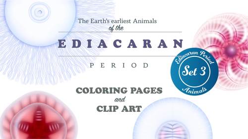 Ediacaran Animals Clip Art and Coloring Pages Set 3 by TimeLine Artist