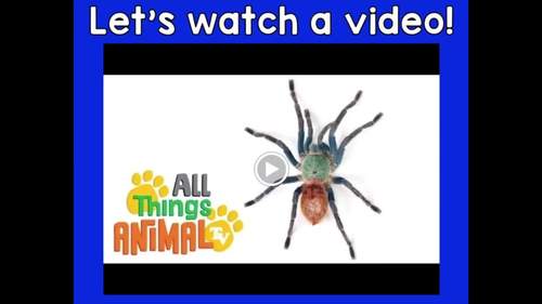 Spiders Digital Interactive Notebook for Google Classroom | TPT