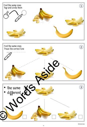 Brain Task Cards Preschool Autism SpEd Same Different by Words Aside