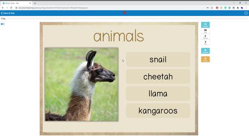 Animal Vocabulary #2 BOOM CARDS for Adult ESL by Rike Neville | TPT