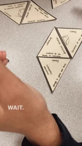 SBI3U Plants Review Activity: Tarsia Puzzle by Hello Teach to Serve