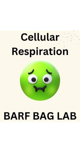 AP Biology Cellular Respiration Barf Lab and Directed Readings | TPT