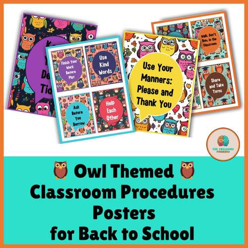 Owl Themed Classroom Procedures Posters | Owl Classroom Rules for Back ...