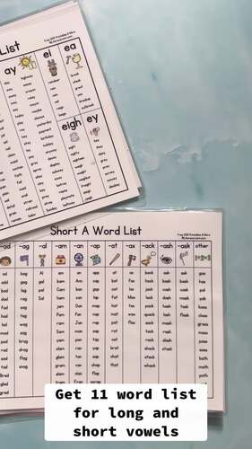 1600+ Long & Short Vowel Words- 11 Lists + 16 Mini-Posters *No-Prep ...