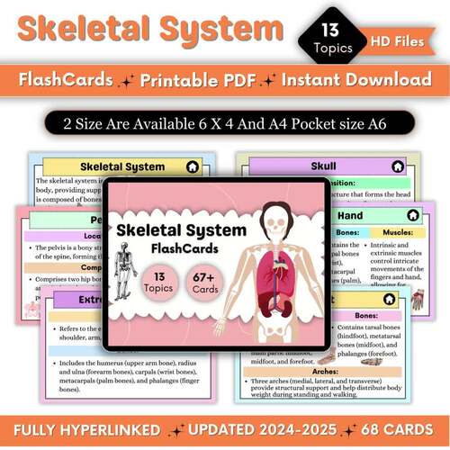 Skeletal Flashcards | Skeletal System Flashcards | Study Guide ...