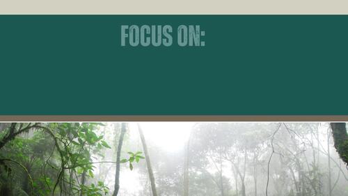 Lord of the Flies Text Novel Study Questions (CH. 7-9) Reading Handout