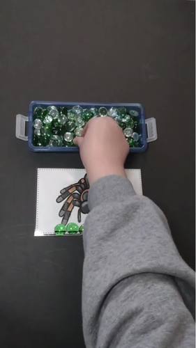 Activities for Kindergarten Math: Desert Life by Teach for Mastery