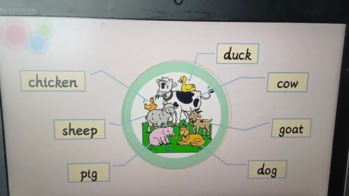 Farm Animals Shadow Guessing Game | Editable No-Prep PPT by Mimi & Lulu ...
