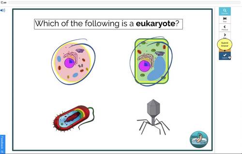 Cells Boom Card Deck: Organelles, Structure, Transport and Theory