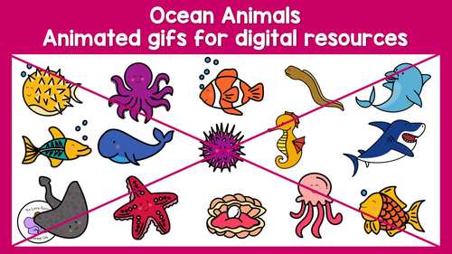 Animated GIF Ocean Animals | Animal Kingdom GIFs | TPT