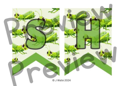 Animal Research Project | Insects Habitats | Grasshopper Fact File ...