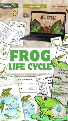 Frog Life Cycle Unit Study | Include Poster, Flashcards, Lesson Plan ...