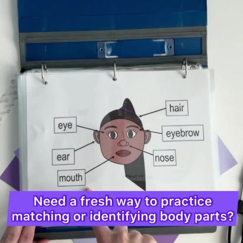 Parts of the Body Adapted Work Binder: Identify, Label & Match ...