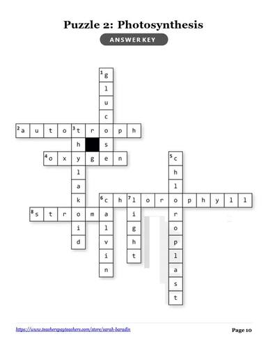 High School Science Biology: Cellular Energetics Crossword With Word Banks