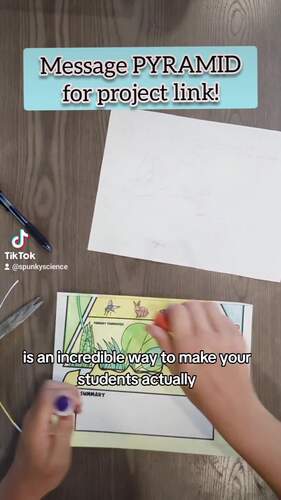 Trophic Pyramid Poster Project by Spunky Science | TPT