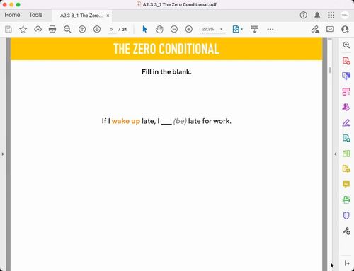 ESL Elementary Lesson: Learn the Zero Conditional by ESL Class Workshop