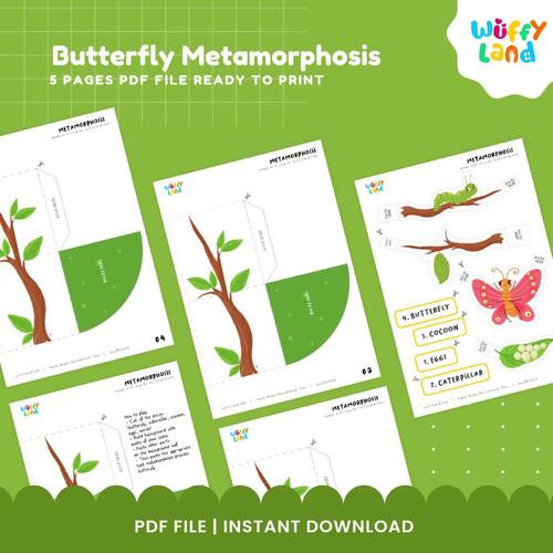Butterfly Life Cycle Craft Metamorphosis Activity Science Cut and Paste ...