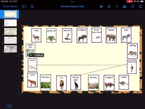 Draw an Interactive African Savanna Food Web: Connect Food Chains ...