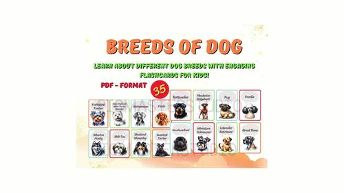 168 Bundle Explore the World Through Flashcards: Antarctic Animals ...