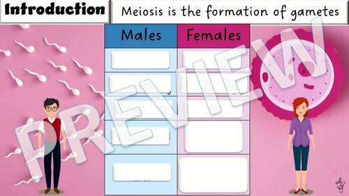 Reproductive Structure & Function Lesson Bundle (PPT, Notes, Aligned ...