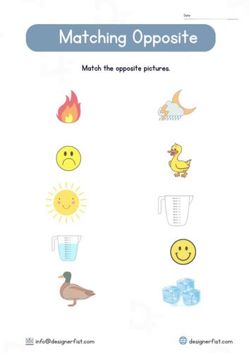 Autism Matching Skills for Child by Inclusive Learning Support | TPT