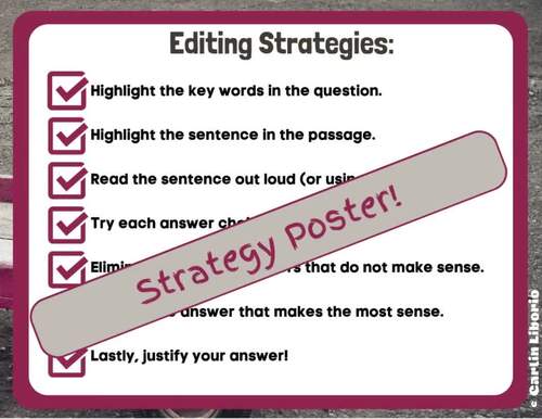 3rd Grade EDITING Set #4 STAAR Practice -Social Studies & Science ...