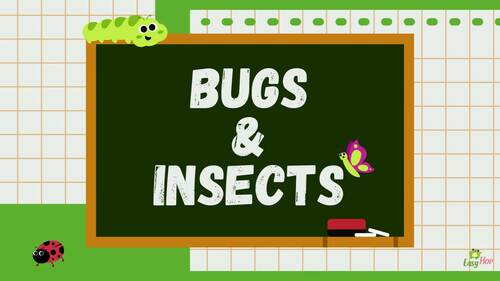Bugs and Insects | Preschool Circle Time PowerPoint & Google Slides ...