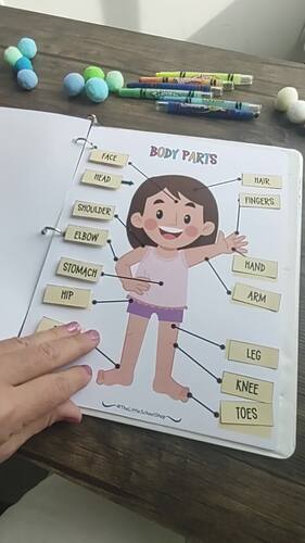 Anatomy Busy Book Quiet Book For Kids Preschool Homeschool Printable
