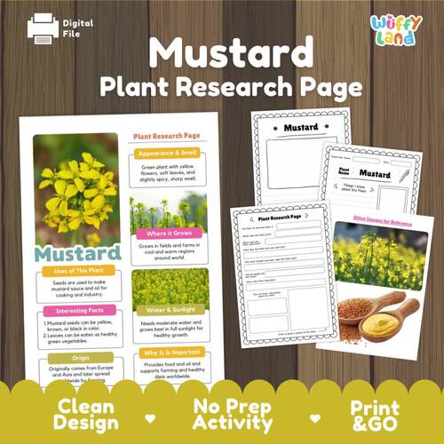 Mustard Plant Research Page | Seed Life Cycle Activity | Science ...