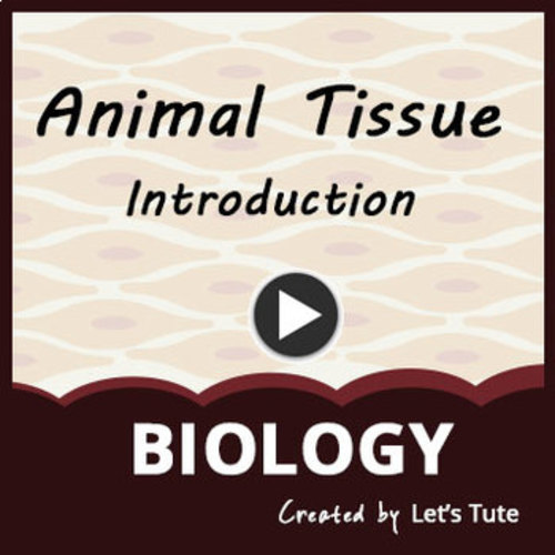 Animal Tissues - Introduction - Biology (Science) by Letstute | TPT