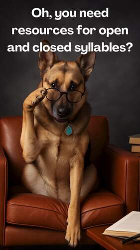 Open and Closed Syllables Worksheets, Sorting Activities & Phonics ...