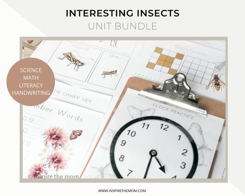 Interesting Insects Unit BUNDLE - Math, Science, Literacy, Handwriting ...