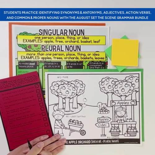 Set the Scene Grammar Review YEAR LONG BUNDLE by Amelia Capotosta