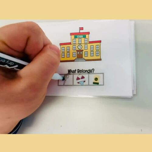 Task Cards for Special Education School Skills What Does Not Belong