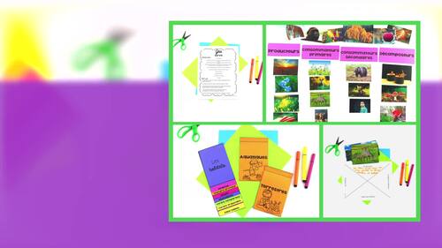 French Grade 4 Habitats and Communities - Sciences Habitats et ...