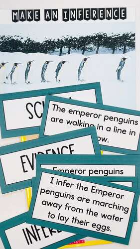 Penguins by Schreiber Read Aloud Book & Activities Comprehension Nonfiction