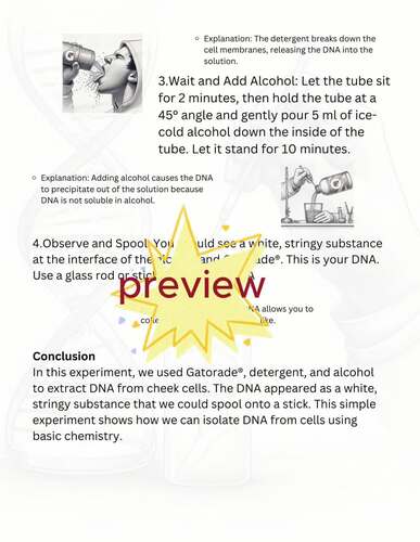 Extracting DNA from Cheek Cells: A Hands-On Experiment Lesson and Worksheet
